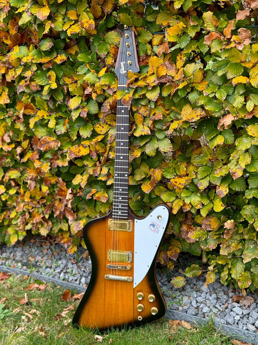 1976 Gibson Firebird Bicentennial – Know Your Vintage Guitars